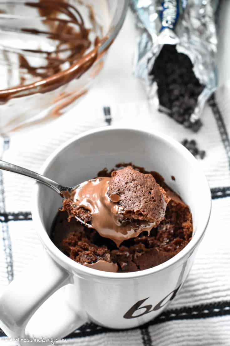 The Best Chocolate Mug Cake (No Egg, Quick and Easy!) | Stress Baking