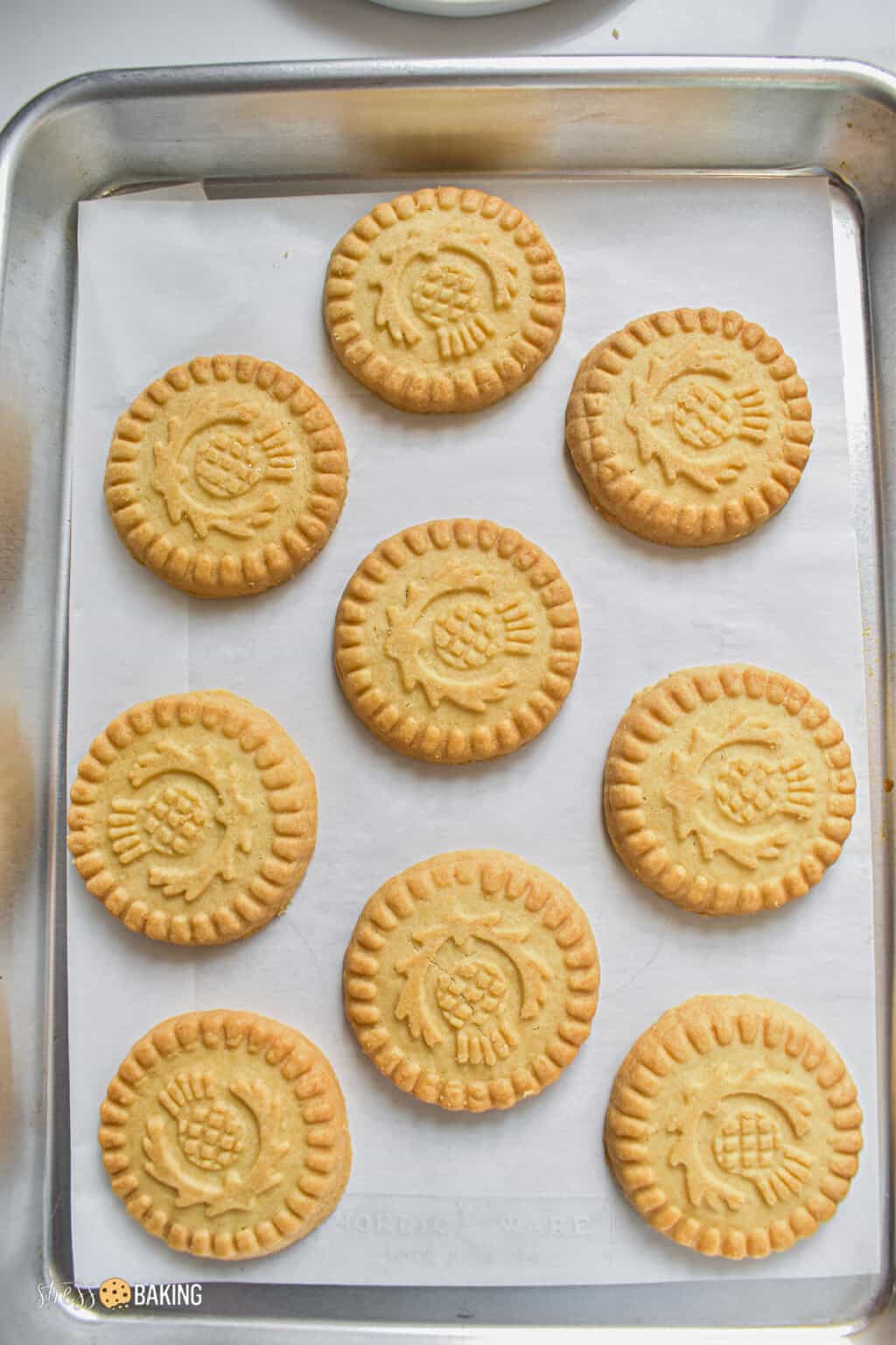 Homemade Tagalong Cookies (Girl Scout Copycat Recipe) | Stress Baking